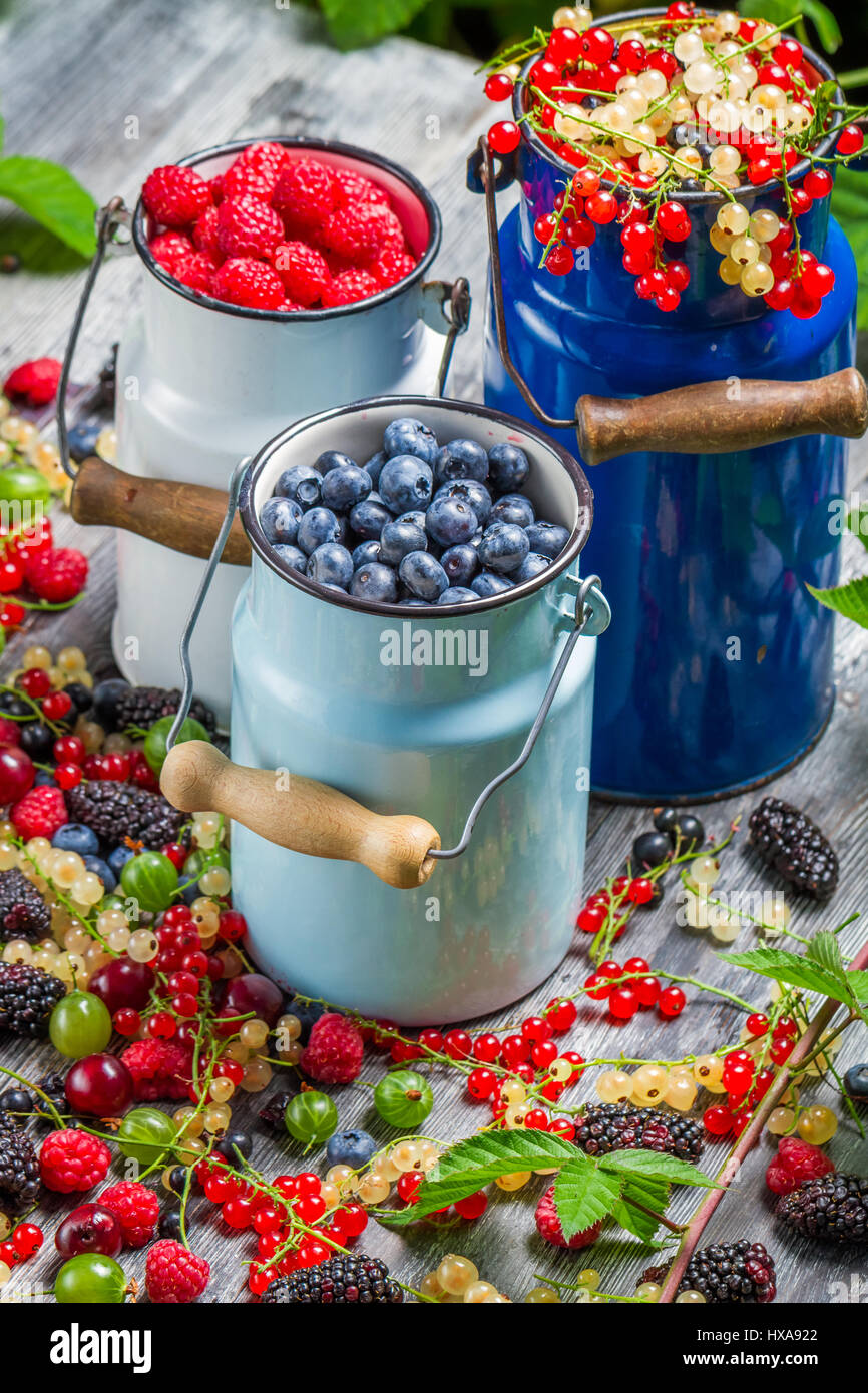Freshly harvested wild berry fruits in summer Stock Photo - Alamy
