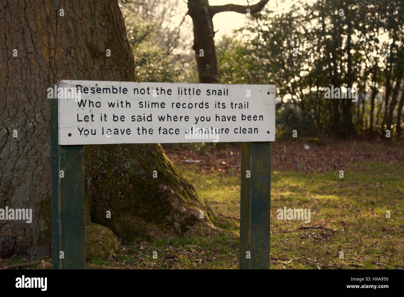 Burley new forest national park hi-res stock photography and images - Alamy