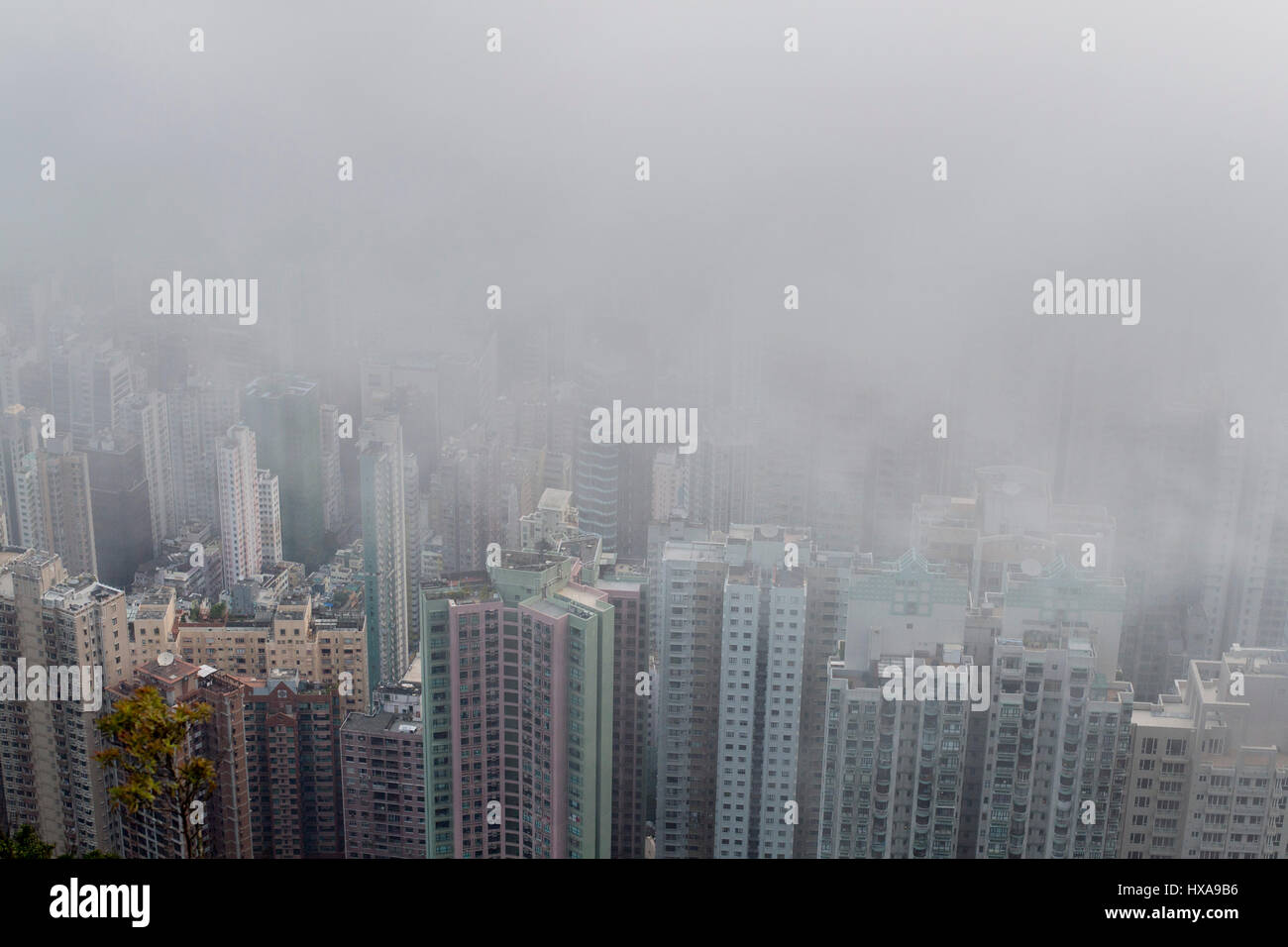 Coast during sunrise covered fog hi-res stock photography and images ...