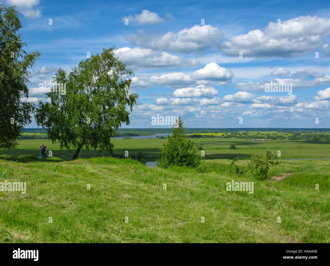 Spring sun magic river bright field beautiful sunny blue sky Stock ...