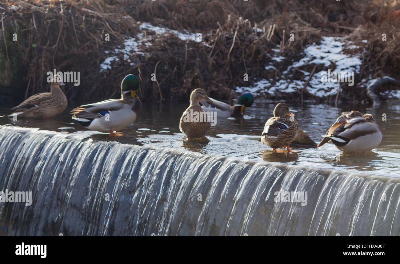 Top of a waterfall hi-res stock photography and images - Alamy