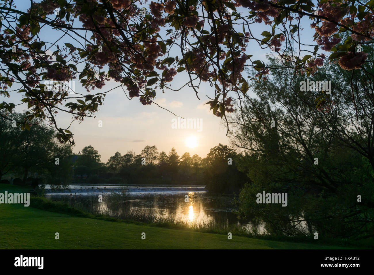 Sunset in a park hi-res stock photography and images - Alamy