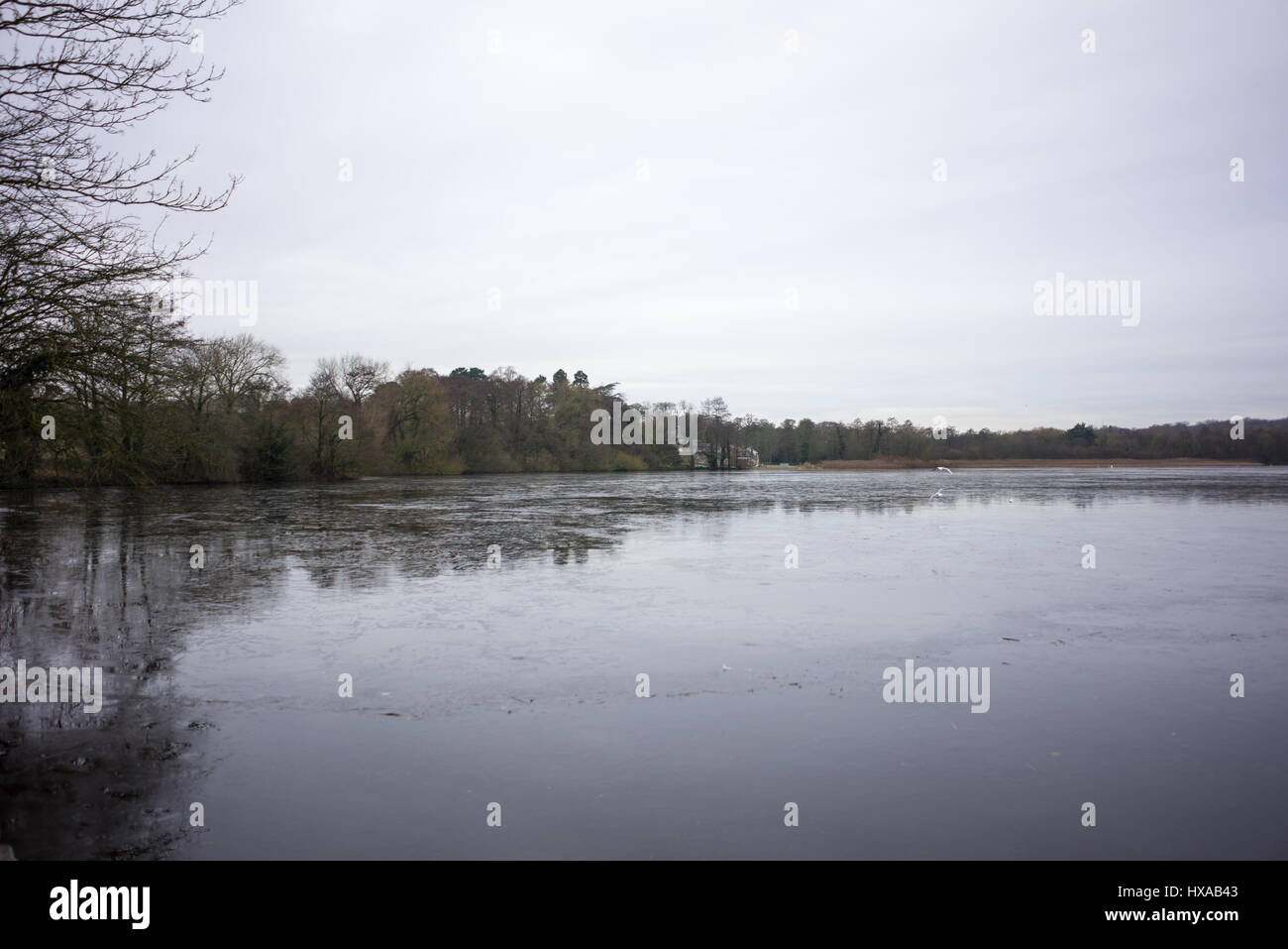 Frozen lake birds flying overhead Stock Photo - Alamy