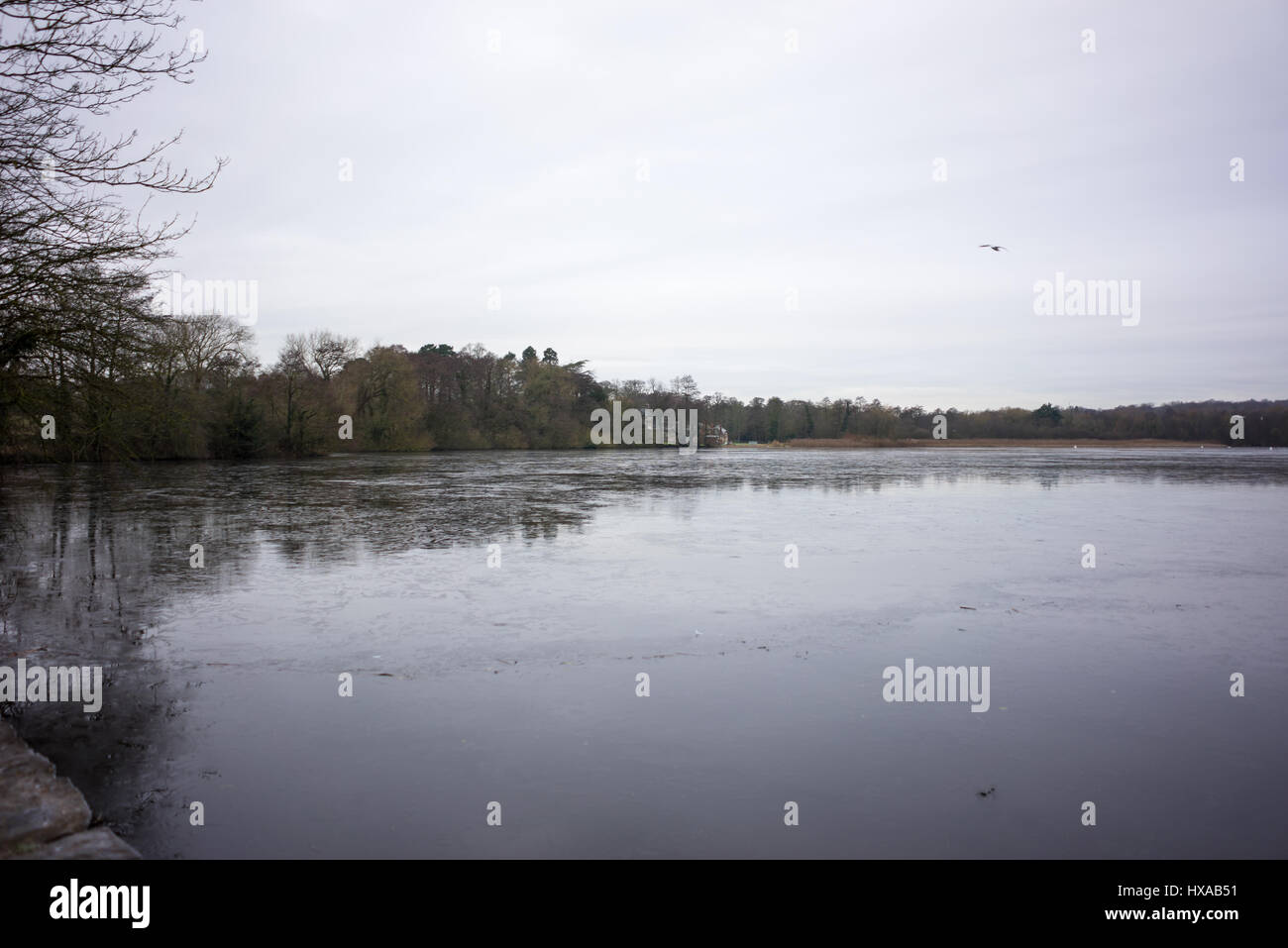 Frozen lake birds flying overhead Stock Photo - Alamy