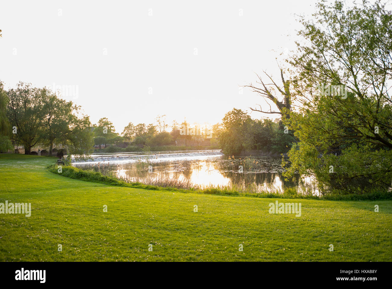 Grass water trees sunset hi-res stock photography and images - Alamy