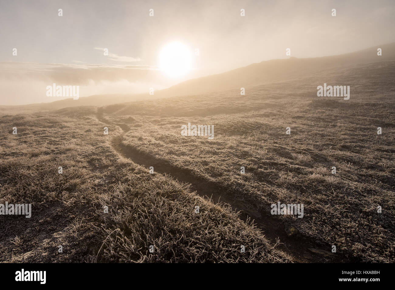 Mountain trail into the misty morning sun Stock Photo - Alamy
