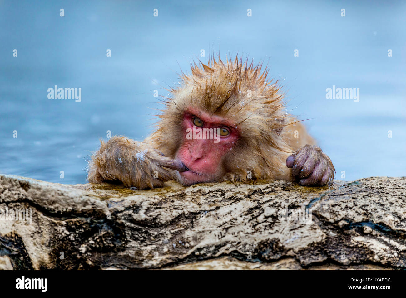 Japan hot spring water hi-res stock photography and images - Alamy