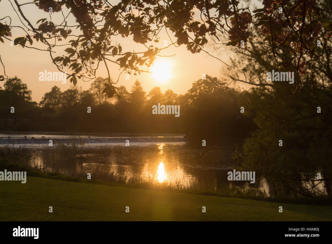 Sunset in a park Stock Photo - Alamy