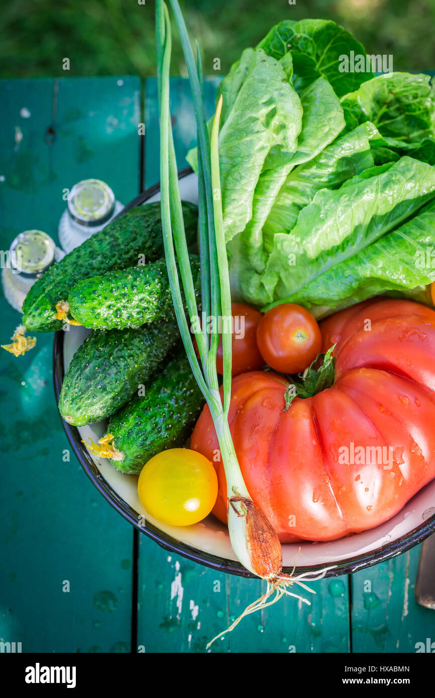 Fresh mix vegetables in garden in summer Stock Photo - Alamy