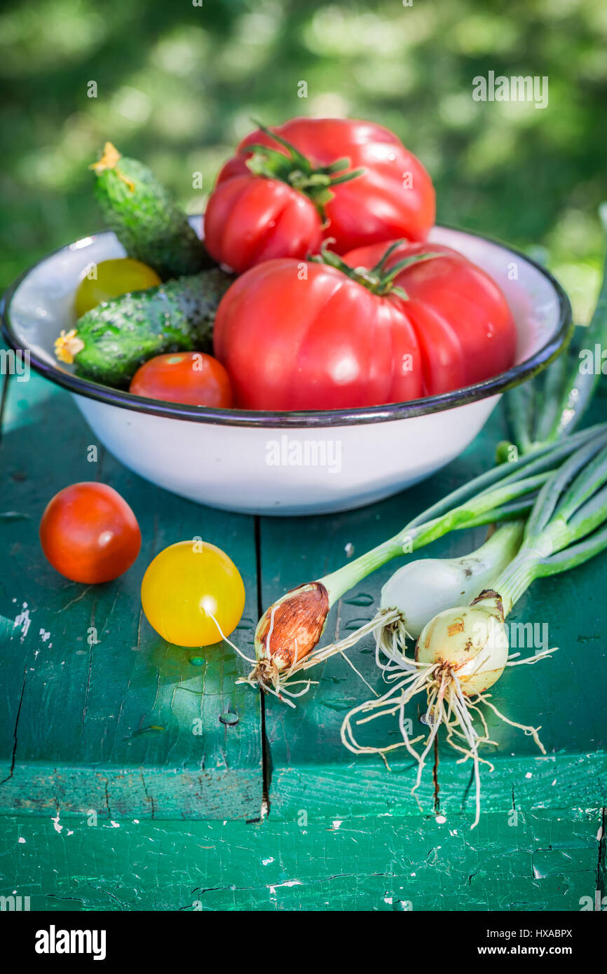 Homemade mix vegetables in sunny garden in summer Stock Photo - Alamy