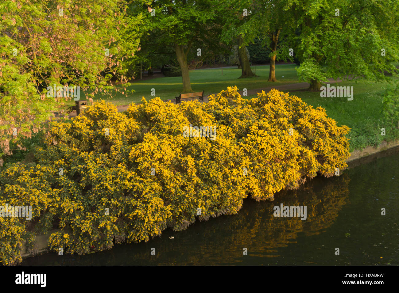 Autumn scene in a park Stock Photo - Alamy