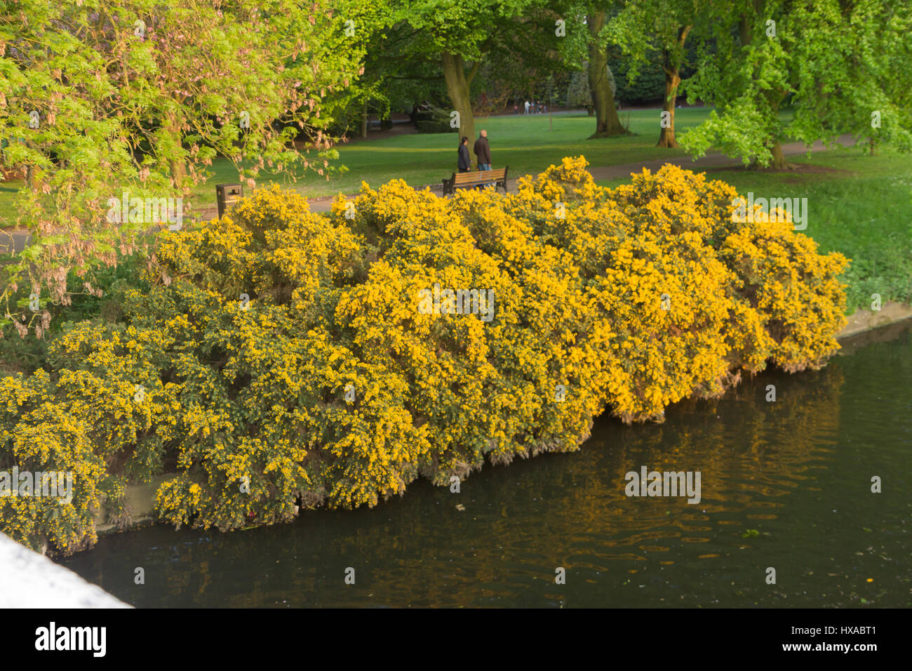 Autumn scene in a park Stock Photo - Alamy