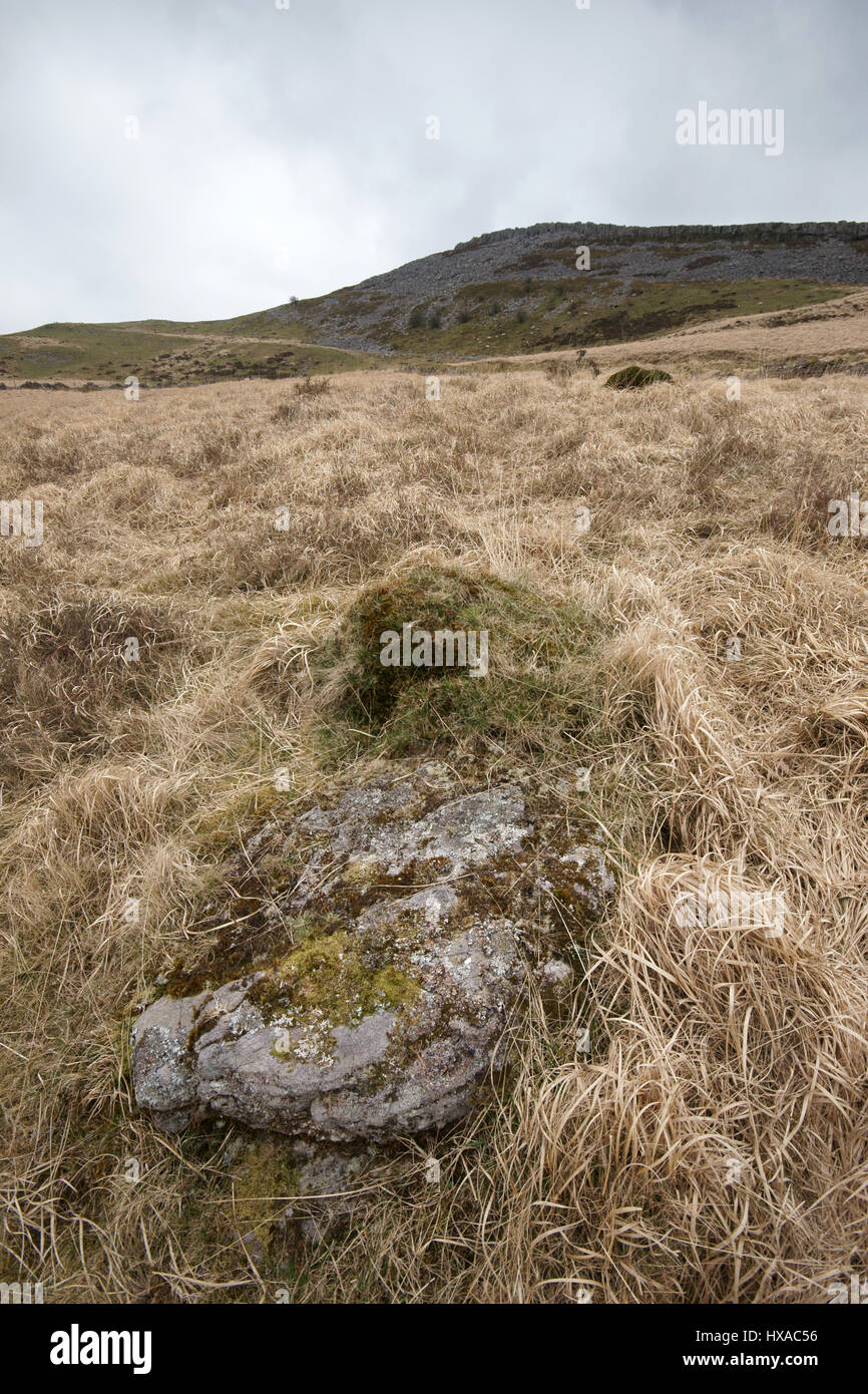 Penwyllt quarry hi-res stock photography and images - Alamy