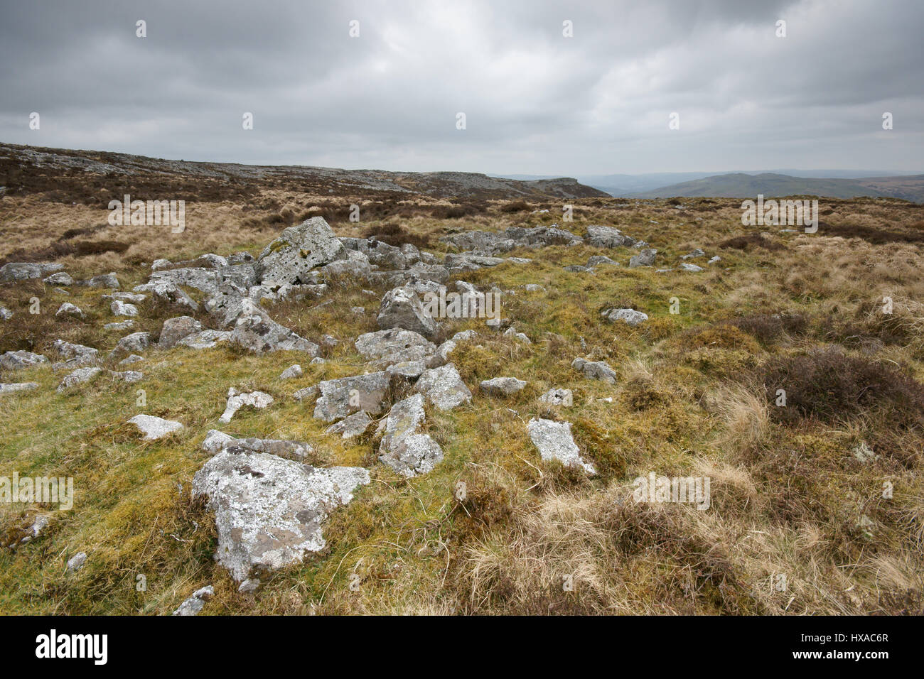 Penwyllt hi-res stock photography and images - Alamy