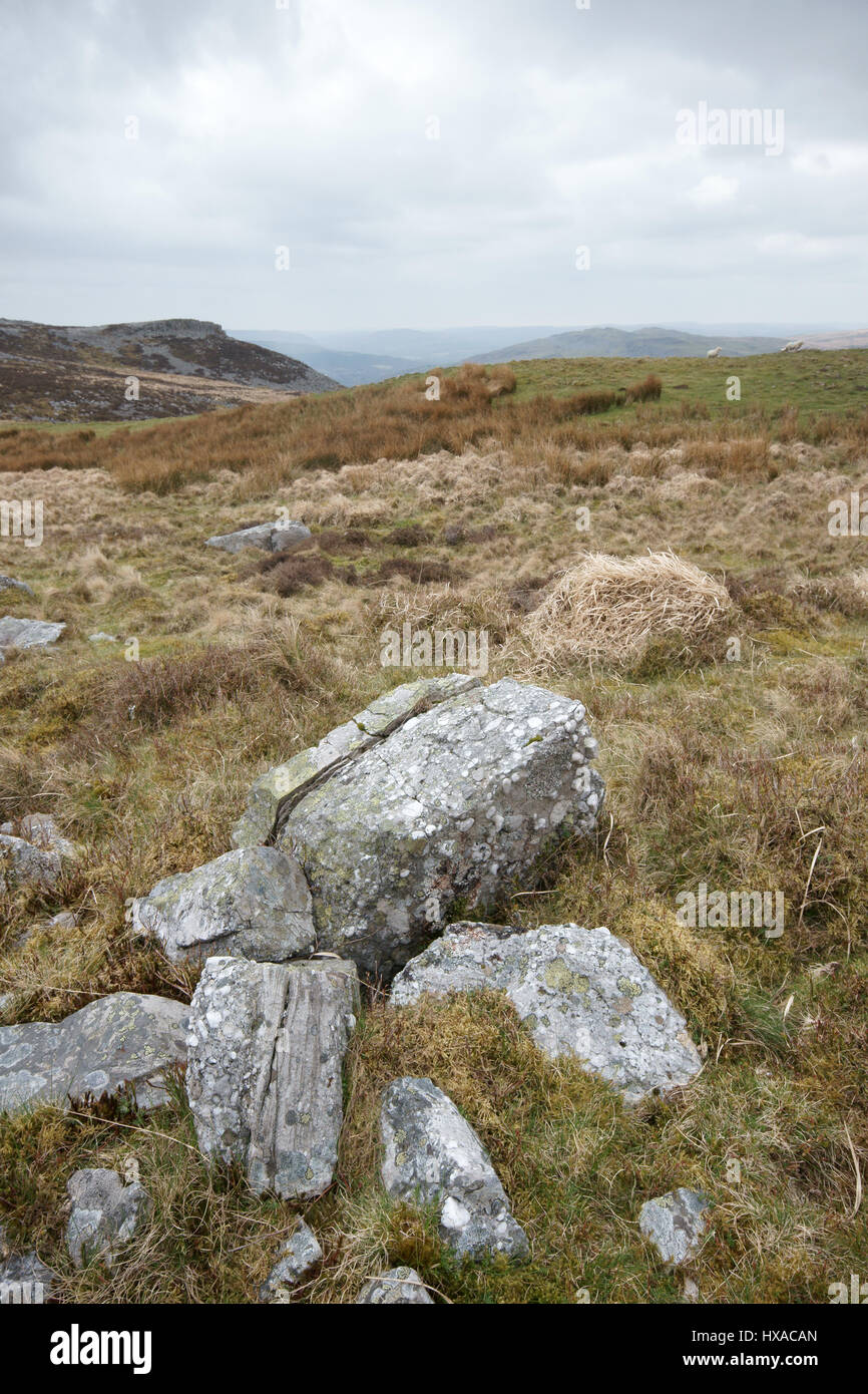 Penwyllt limestone quarry hi-res stock photography and images - Alamy