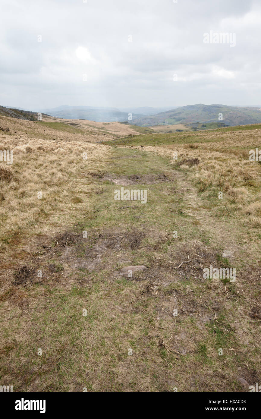 Penwyllt hi-res stock photography and images - Alamy