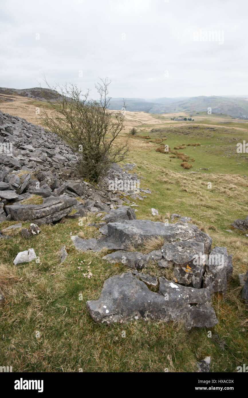 Penwyllt hi-res stock photography and images - Alamy