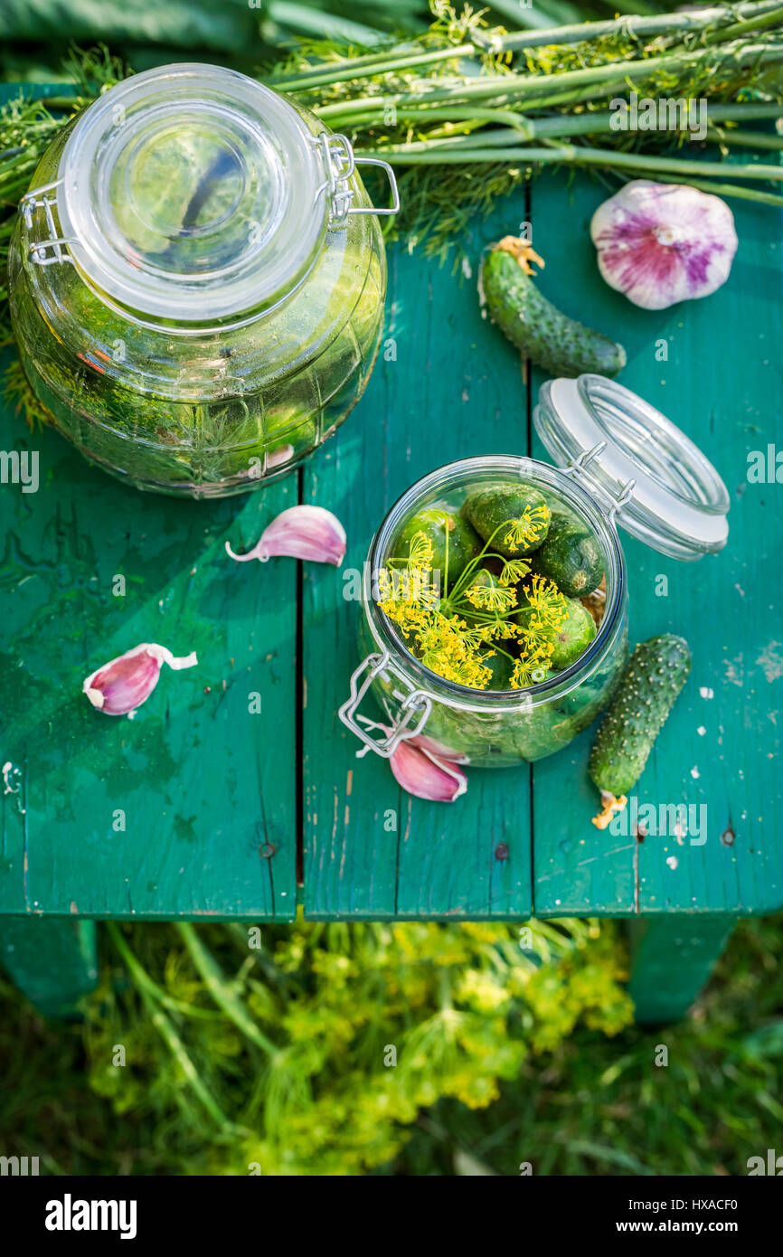 Preparation for gherkins in the countryside on old wooden table Stock ...