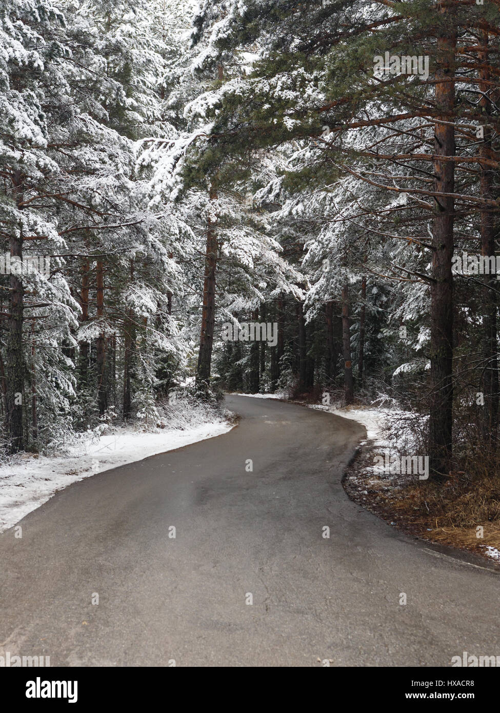 Path twisting hi-res stock photography and images - Alamy