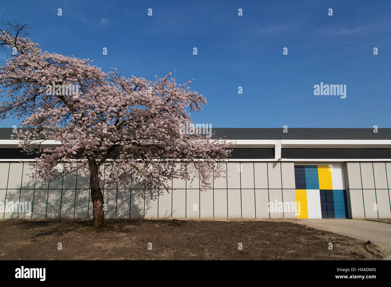 Village de rietveld hi-res stock photography and images - Alamy