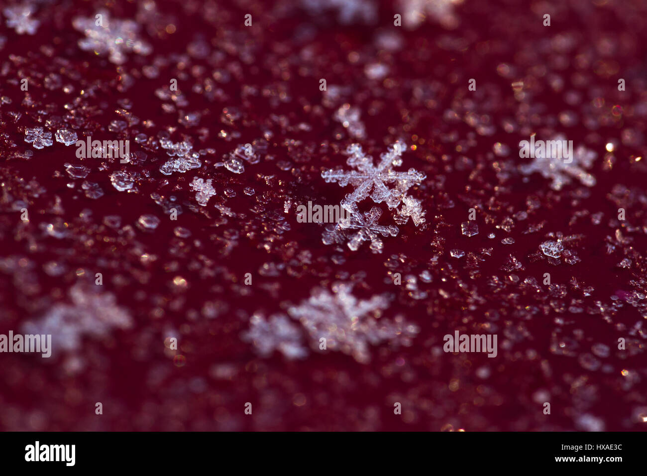 small snow flake with a beautiful symmetrical shape on a red background ...