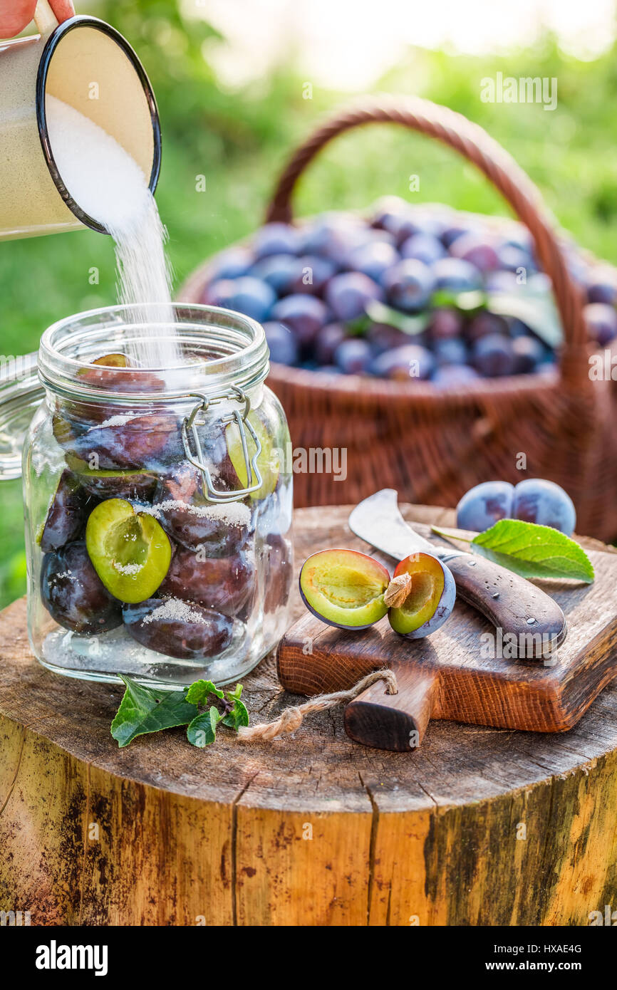Preparation for canned plums in the jar Stock Photo - Alamy