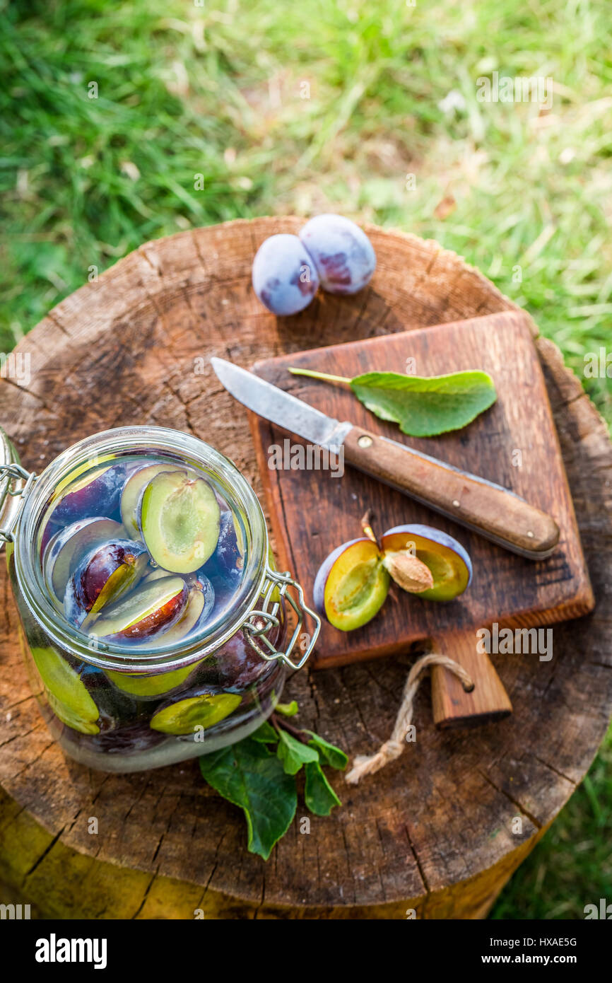 Ingredients for canned plums in the jar Stock Photo - Alamy