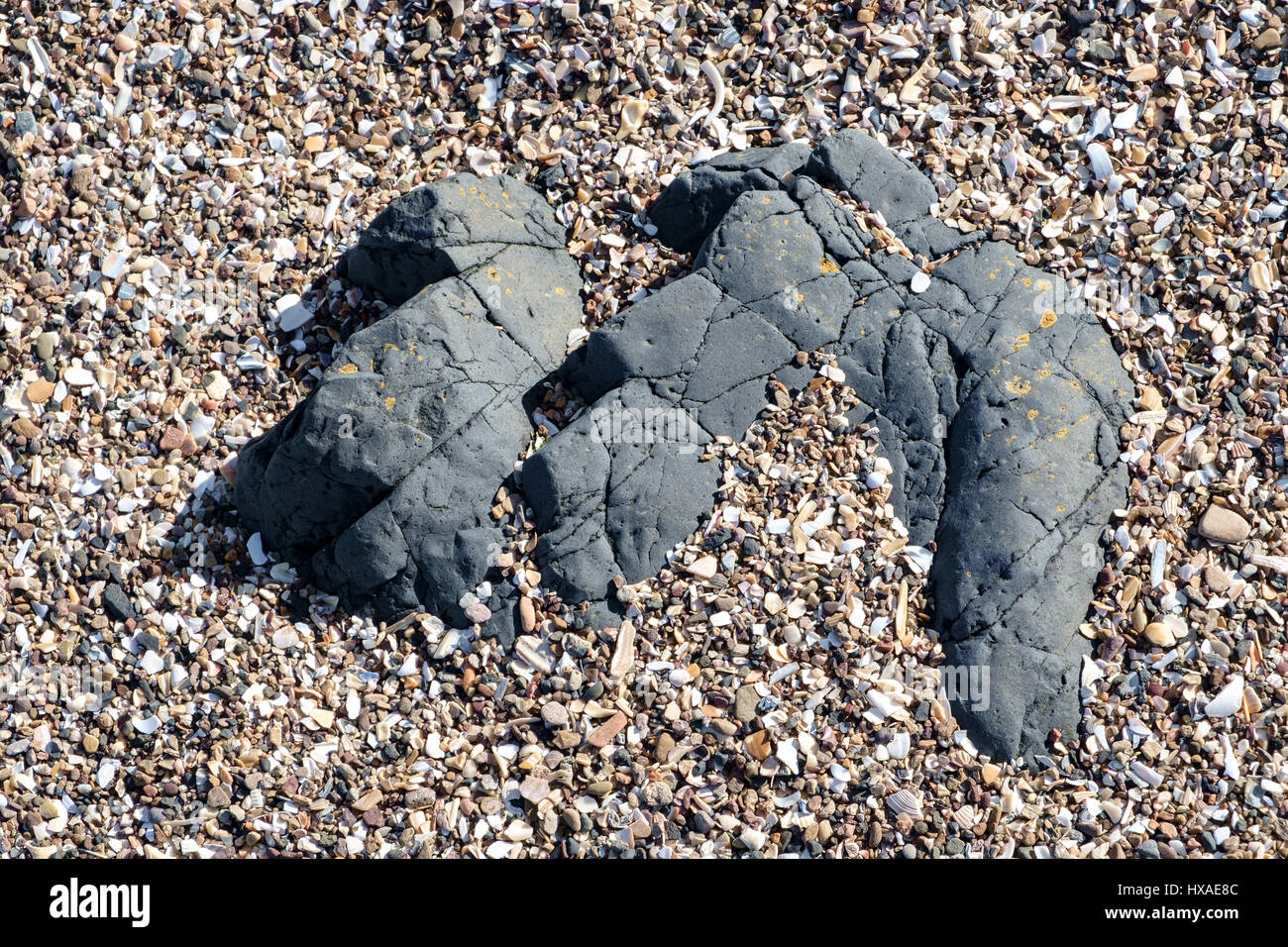 Rock buried on beach Stock Photo - Alamy