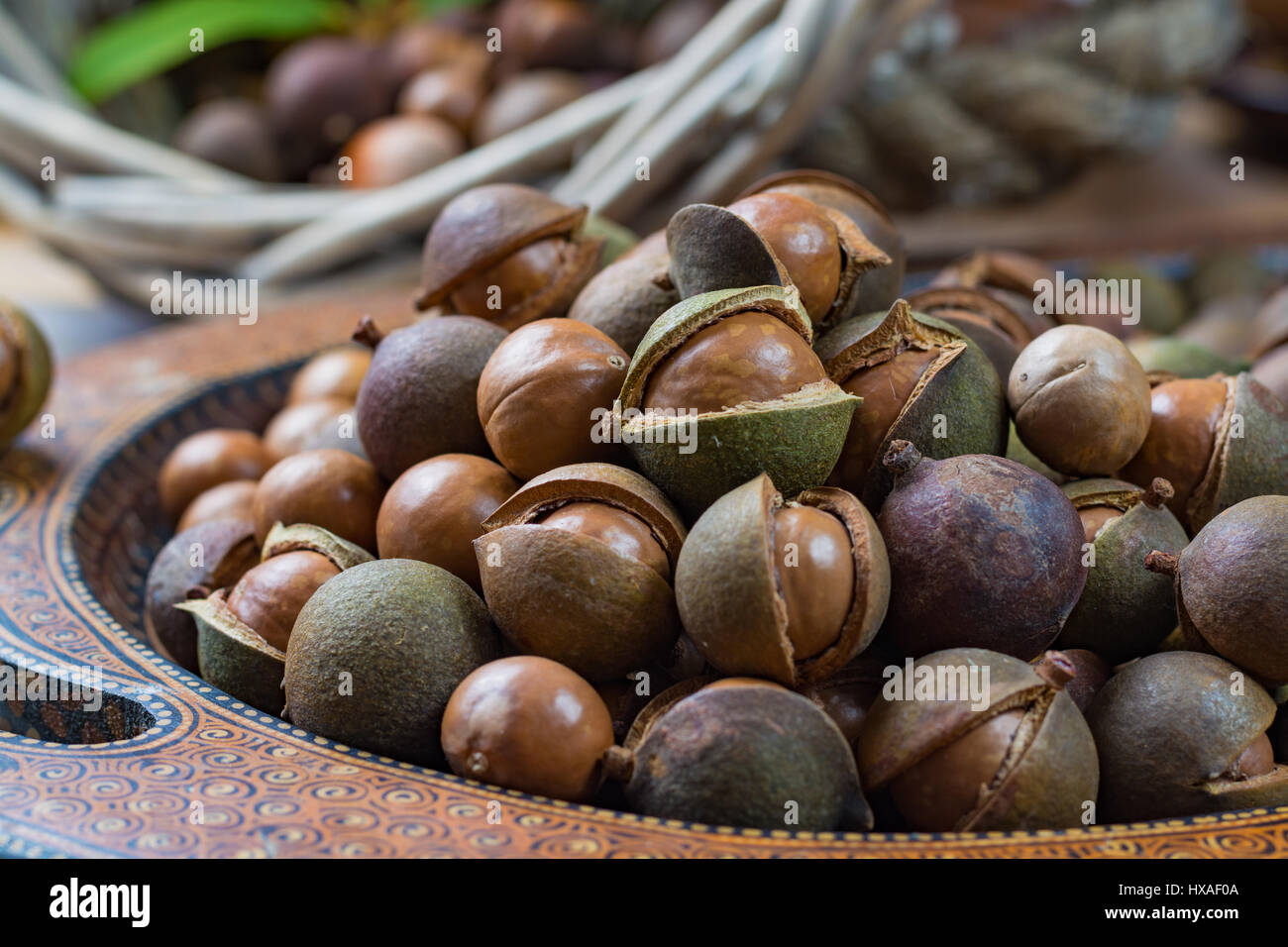 Macadamia nuts harvest close up with leaves Stock Photo - Alamy