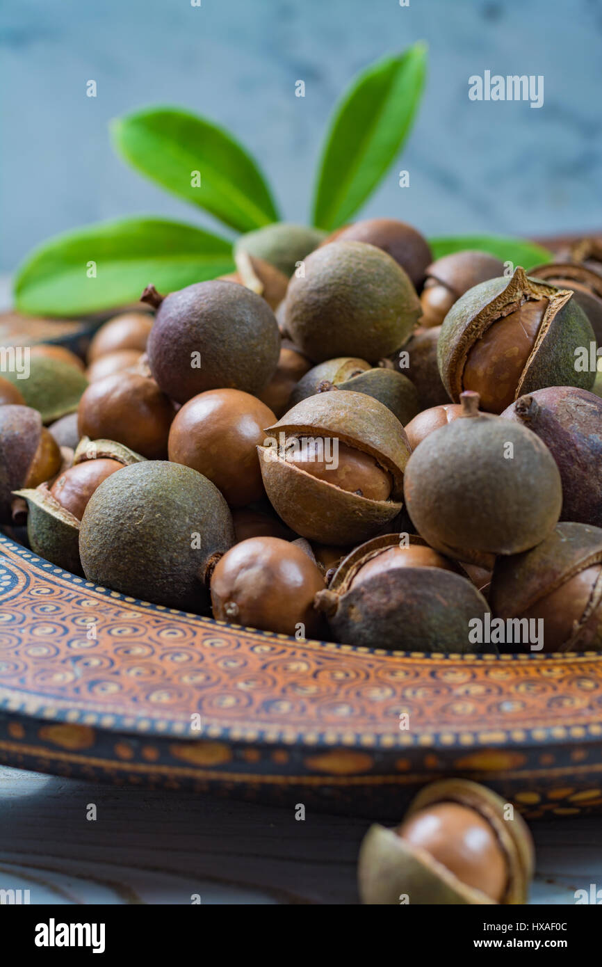Macadamia plantation hawaii hi-res stock photography and images - Alamy