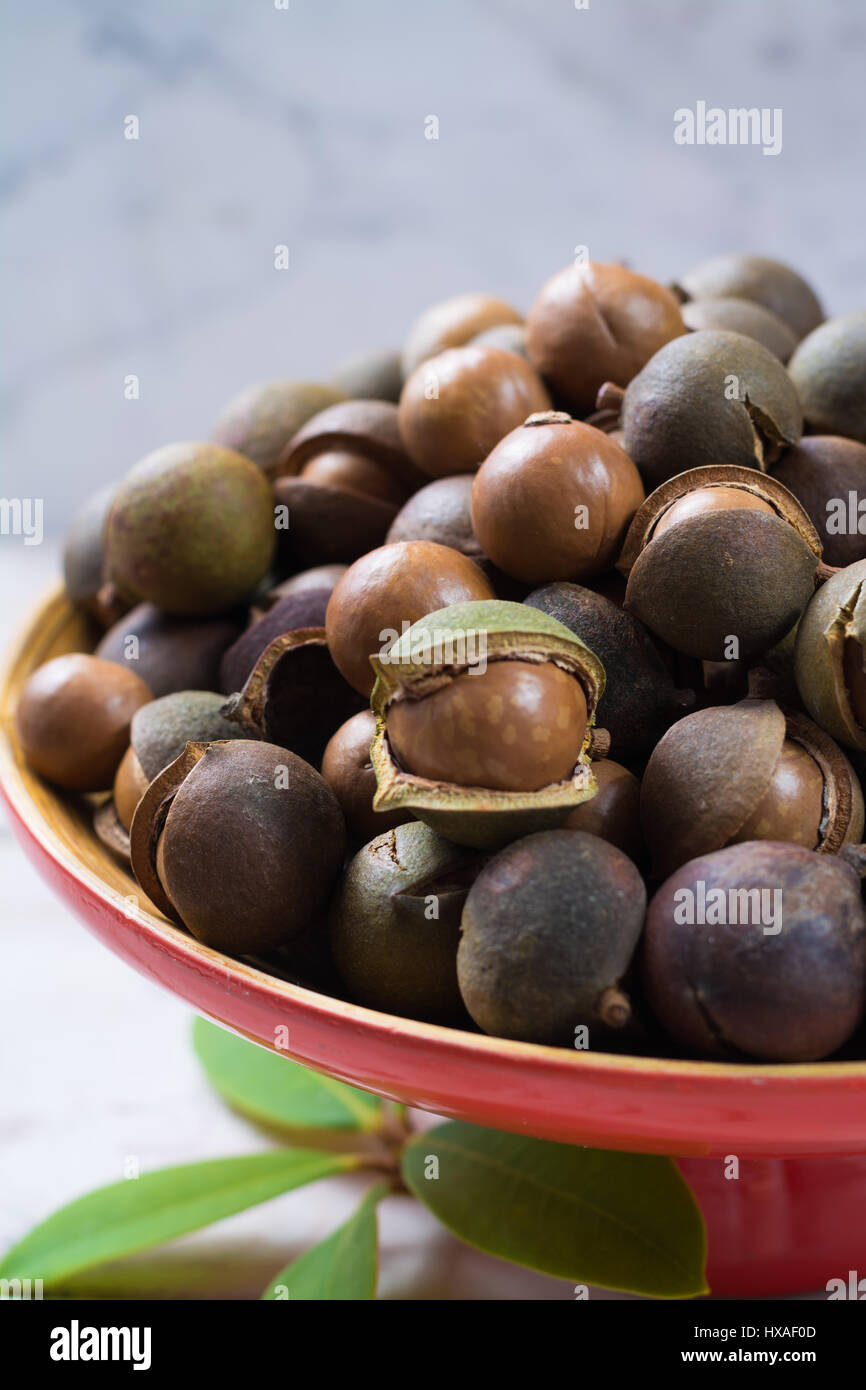 Macadamia nuts harvest close up with leaves Stock Photo - Alamy