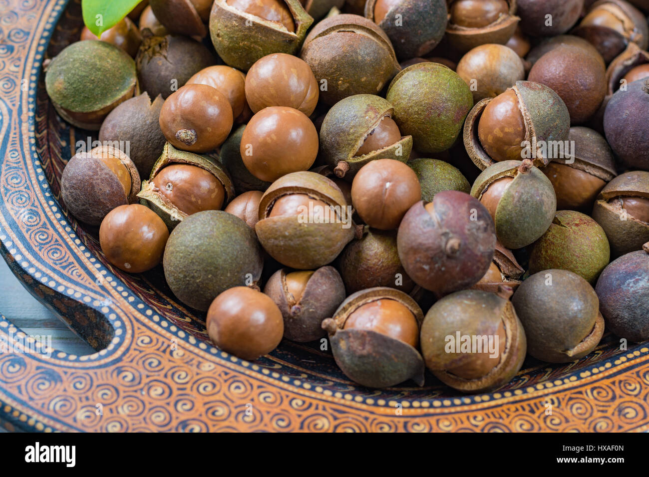 Macadamia nuts harvest close up with leaves Stock Photo - Alamy