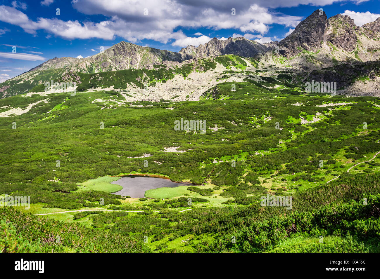 View of the Tatras from a mountain trail Stock Photo - Alamy