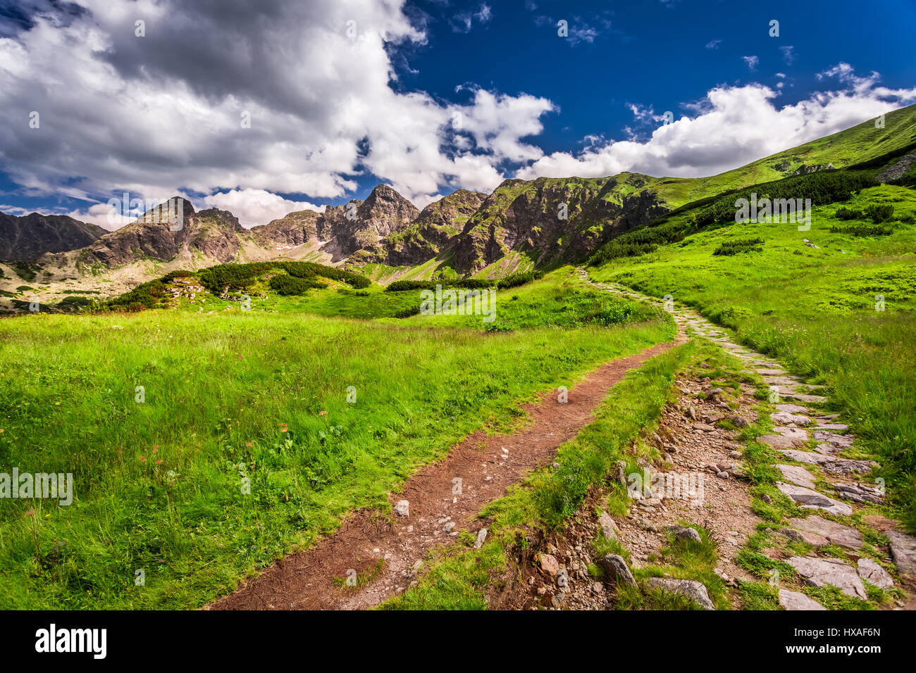 Stony trail in the Tatras Mountains in Poland Stock Photo - Alamy