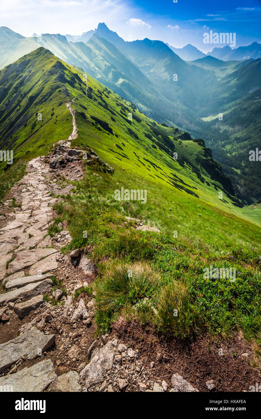 Log footpath hi-res stock photography and images - Alamy