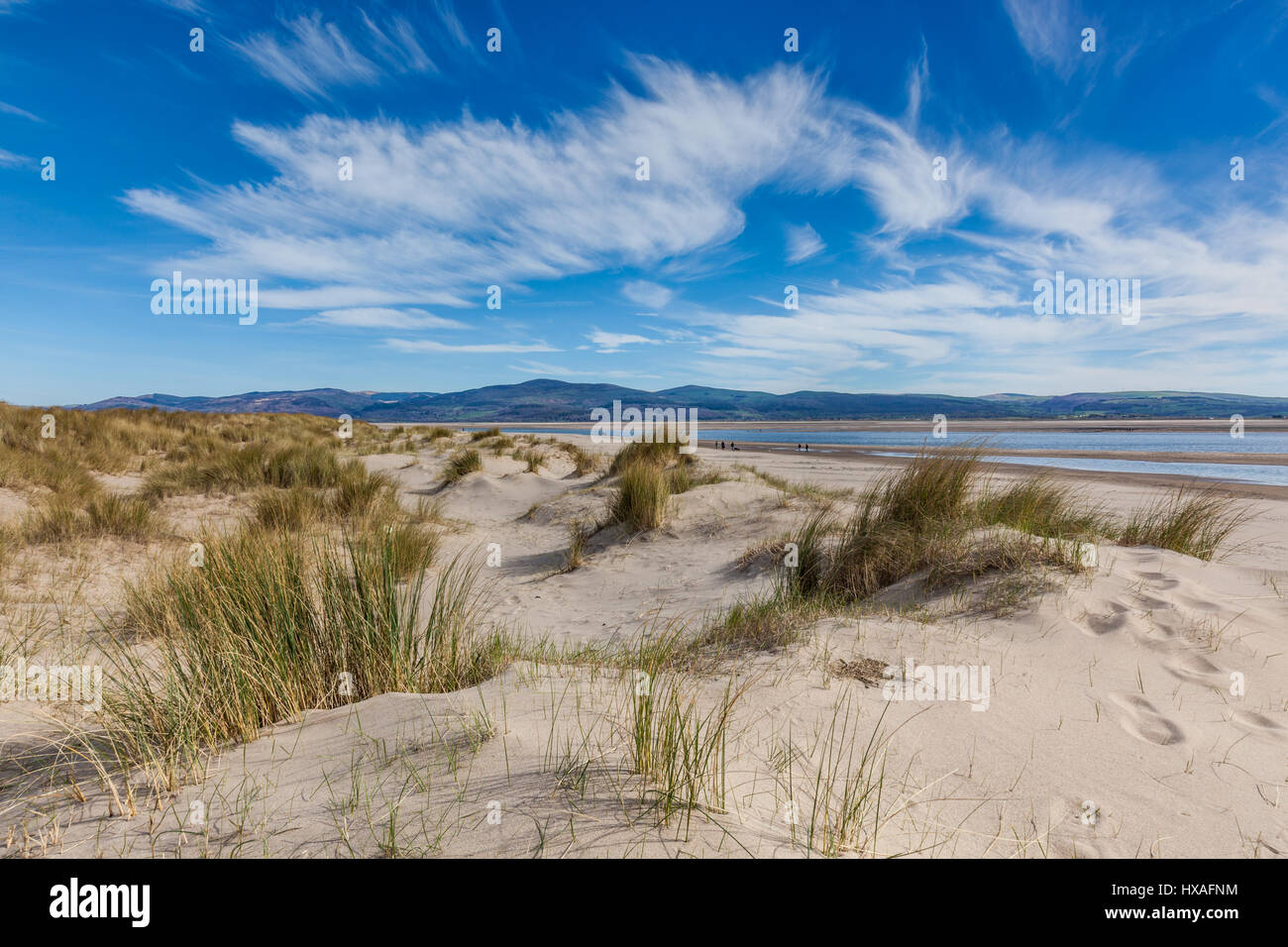 Aberdovey estuary gwynedd wales hi-res stock photography and images - Alamy