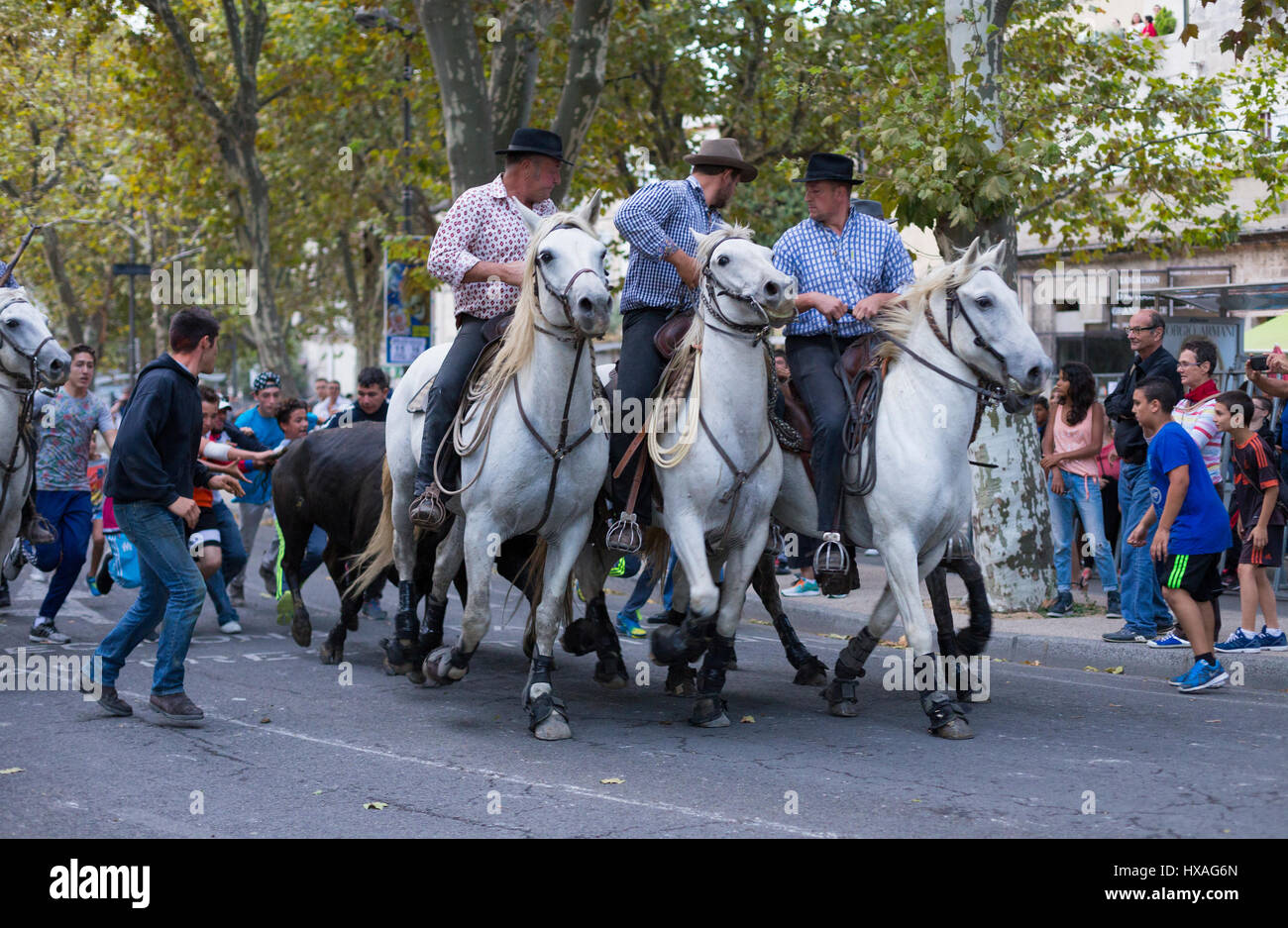 Bull run hi-res stock photography and images - Alamy
