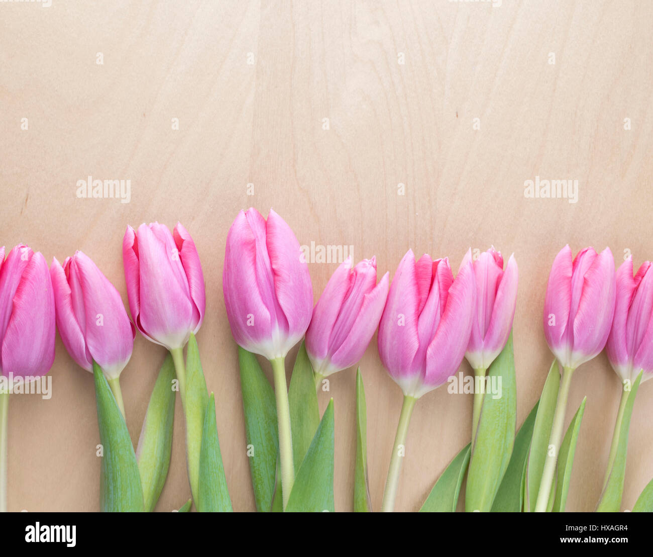 Beautiful spring flowers Stock Photo - Alamy