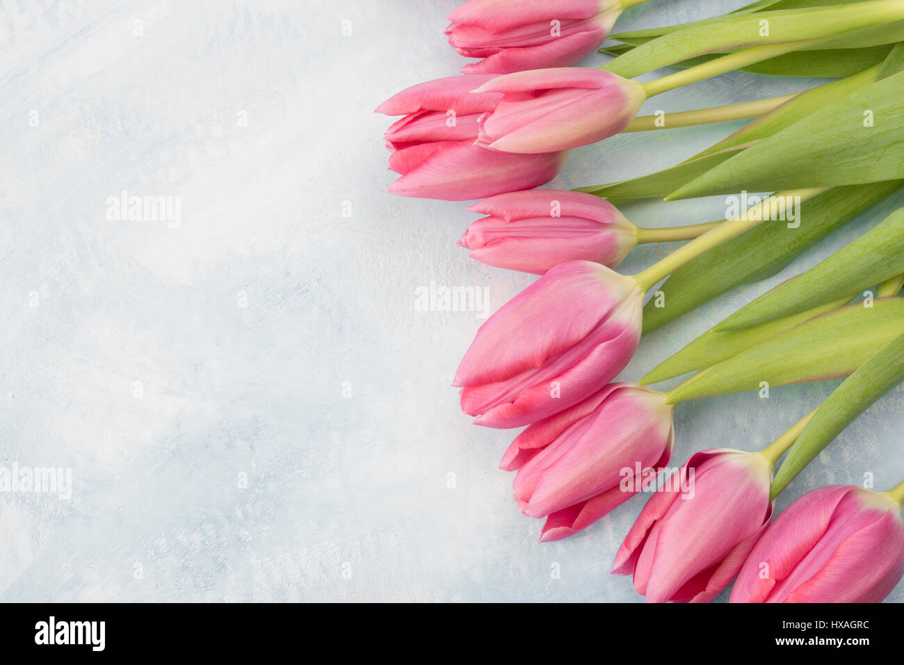 Beautiful spring flowers Stock Photo - Alamy