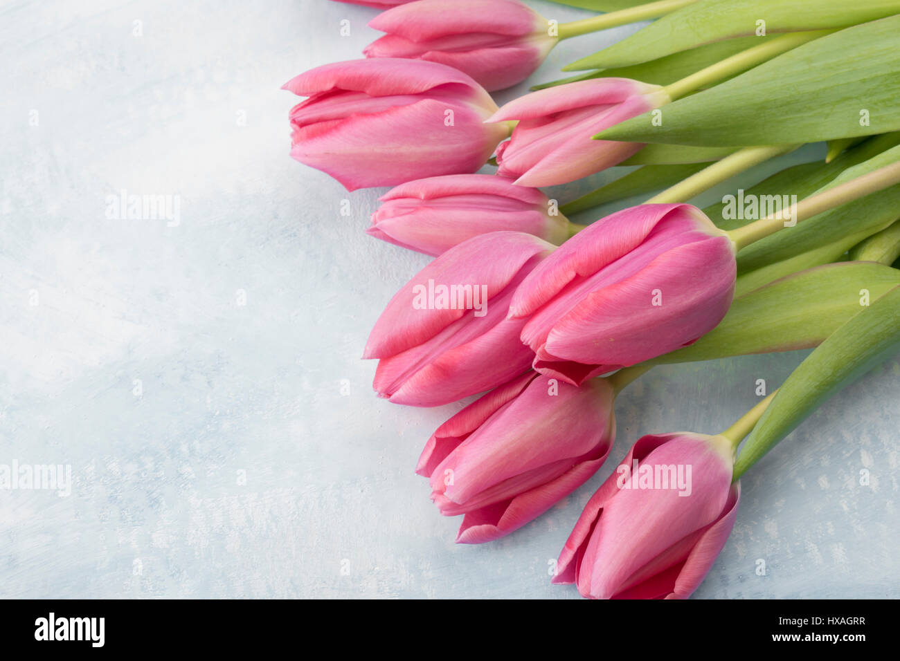 Beautiful spring flowers Stock Photo - Alamy
