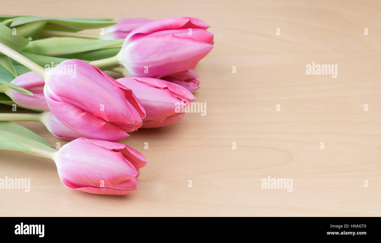 Beautiful spring flowers Stock Photo - Alamy