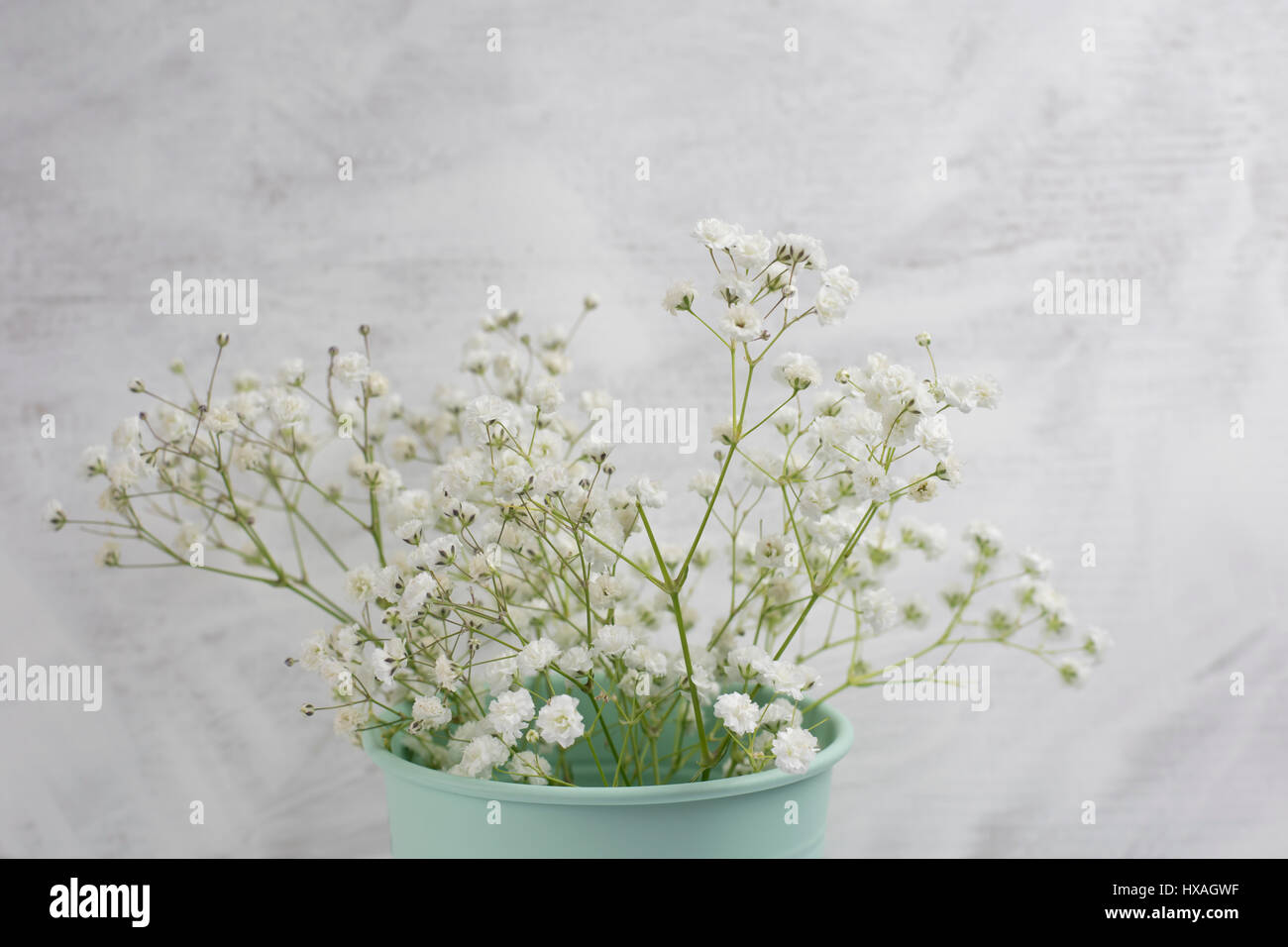 Beautiful spring flowers Stock Photo - Alamy