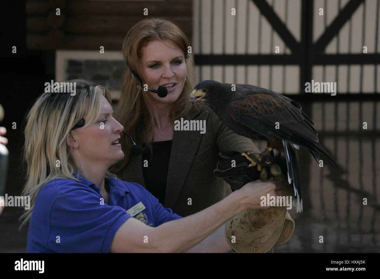 SARAH FERGUSON & FALCON HRH THE DUCHESS OF YORK 18 January 2005 SAN ...