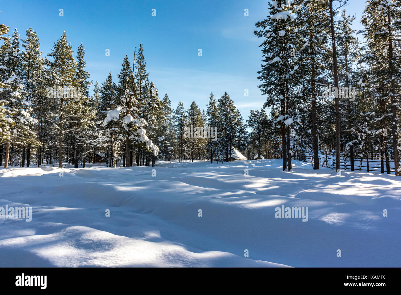 Lapland region hi-res stock photography and images - Alamy