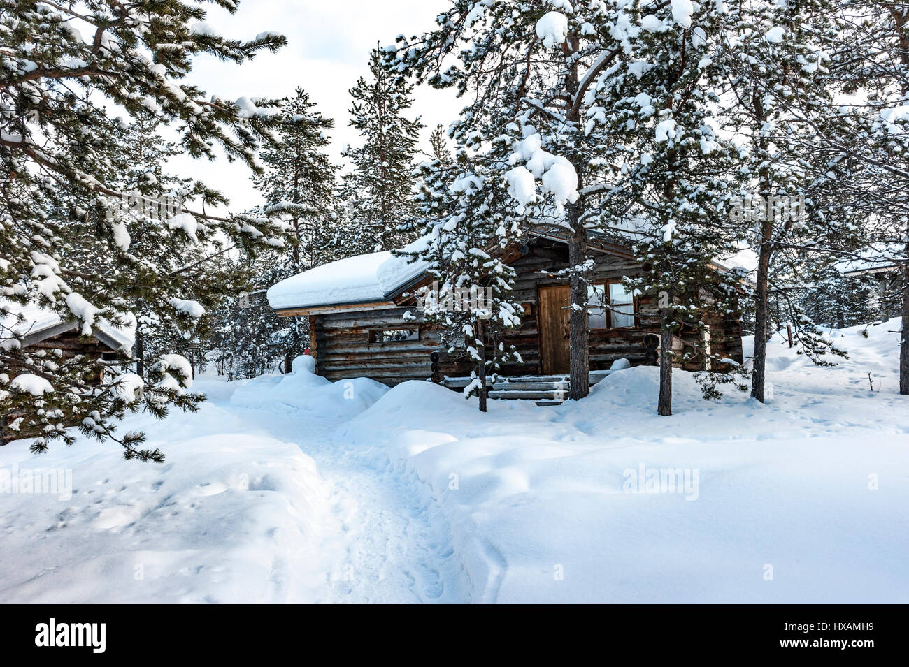 Snow Scene, Kakslauttanen Arctic Resort, Finland Stock Photo - Alamy