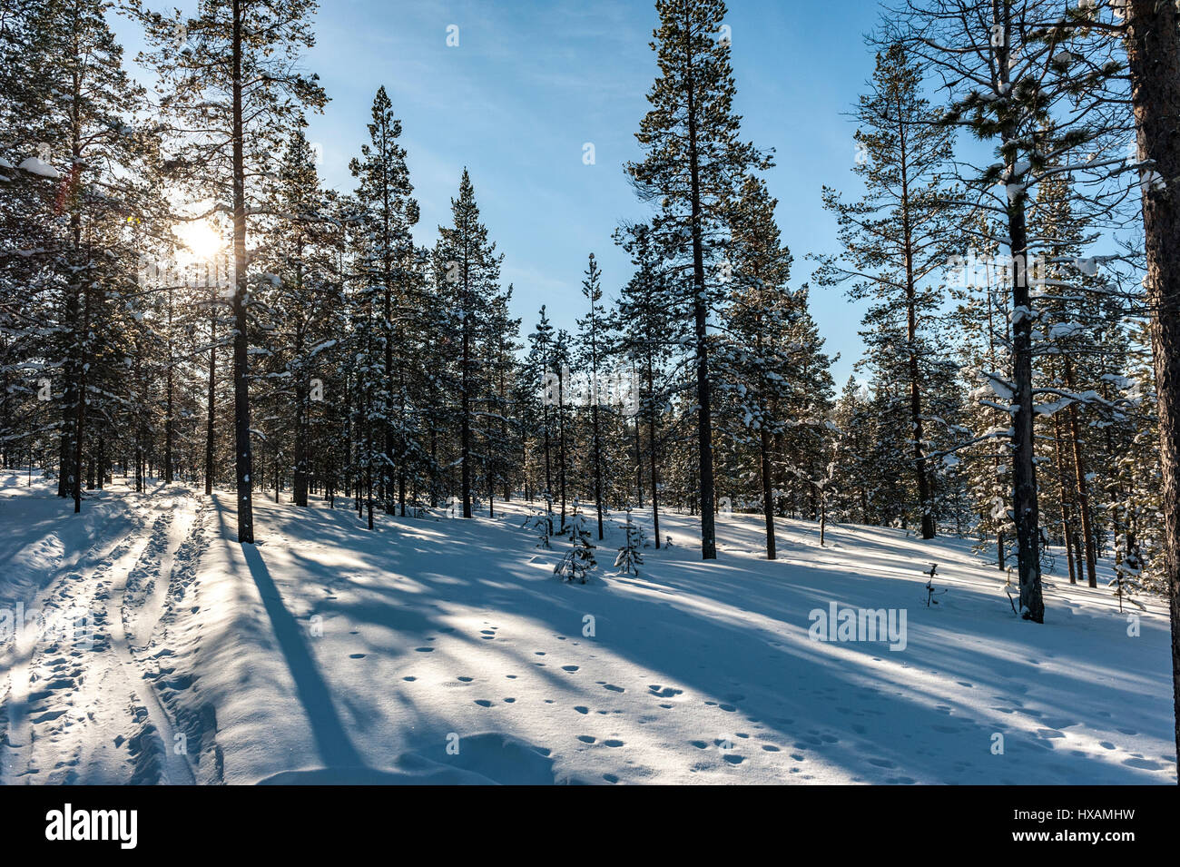 Snow Scene, Inari,Finland Stock Photo - Alamy