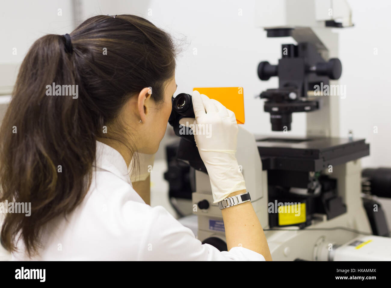 Life science researcher microscoping in genetic scientific laboratory ...