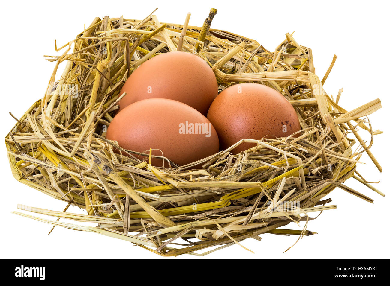 Chicken on nest hi-res stock photography and images - Alamy