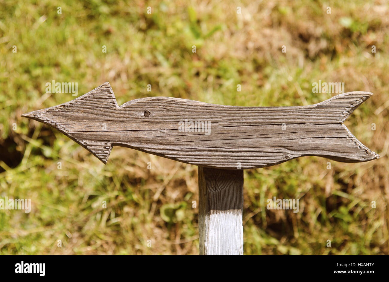 Old wooden arrow indicating the direction in park Stock Photo - Alamy