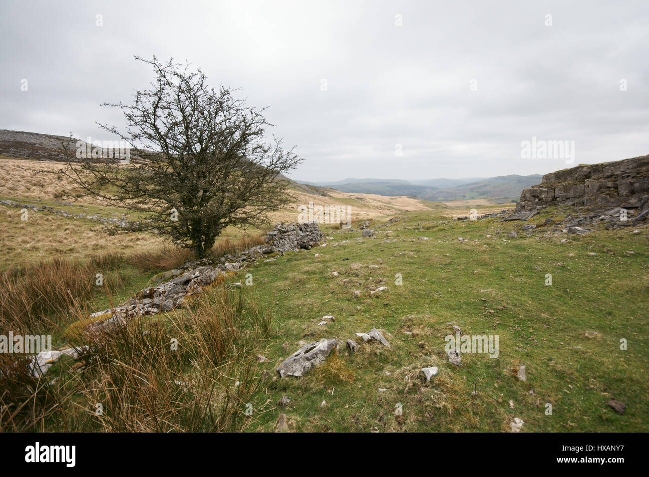 Penwyllt hi-res stock photography and images - Alamy